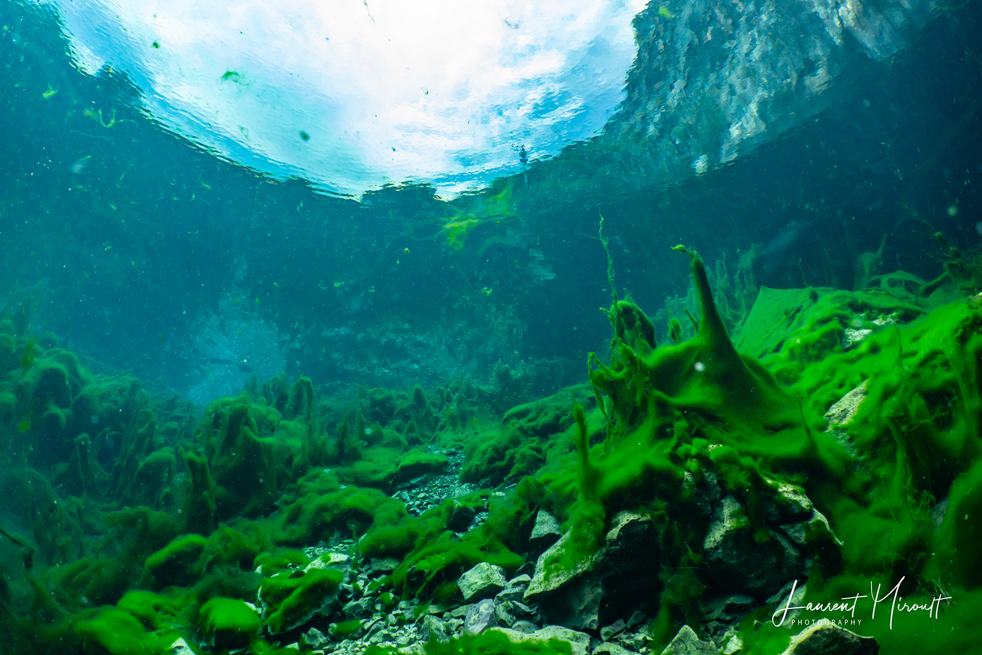 Font Estramar : Voyage dans les Profondeurs | Scuba-People